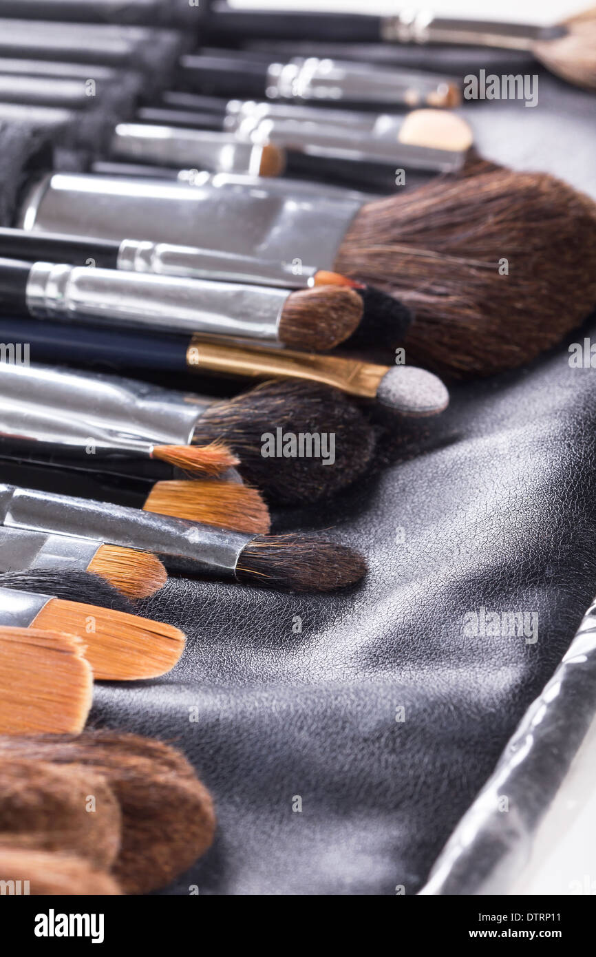 Set of professional makeup brushes in compact case Stock Photo - Alamy