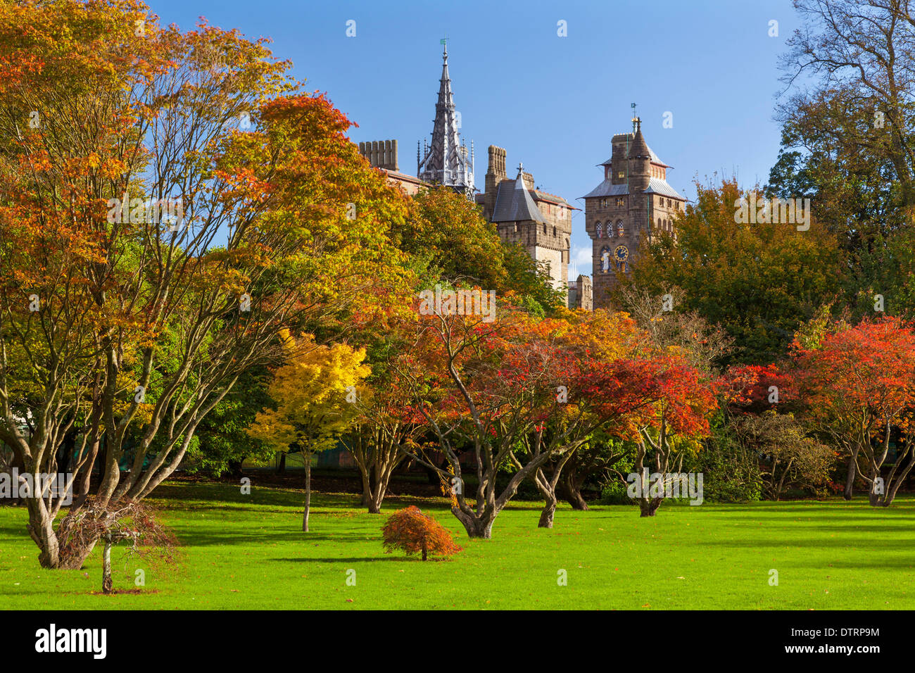 Bute park wales hi-res stock photography and images - Alamy