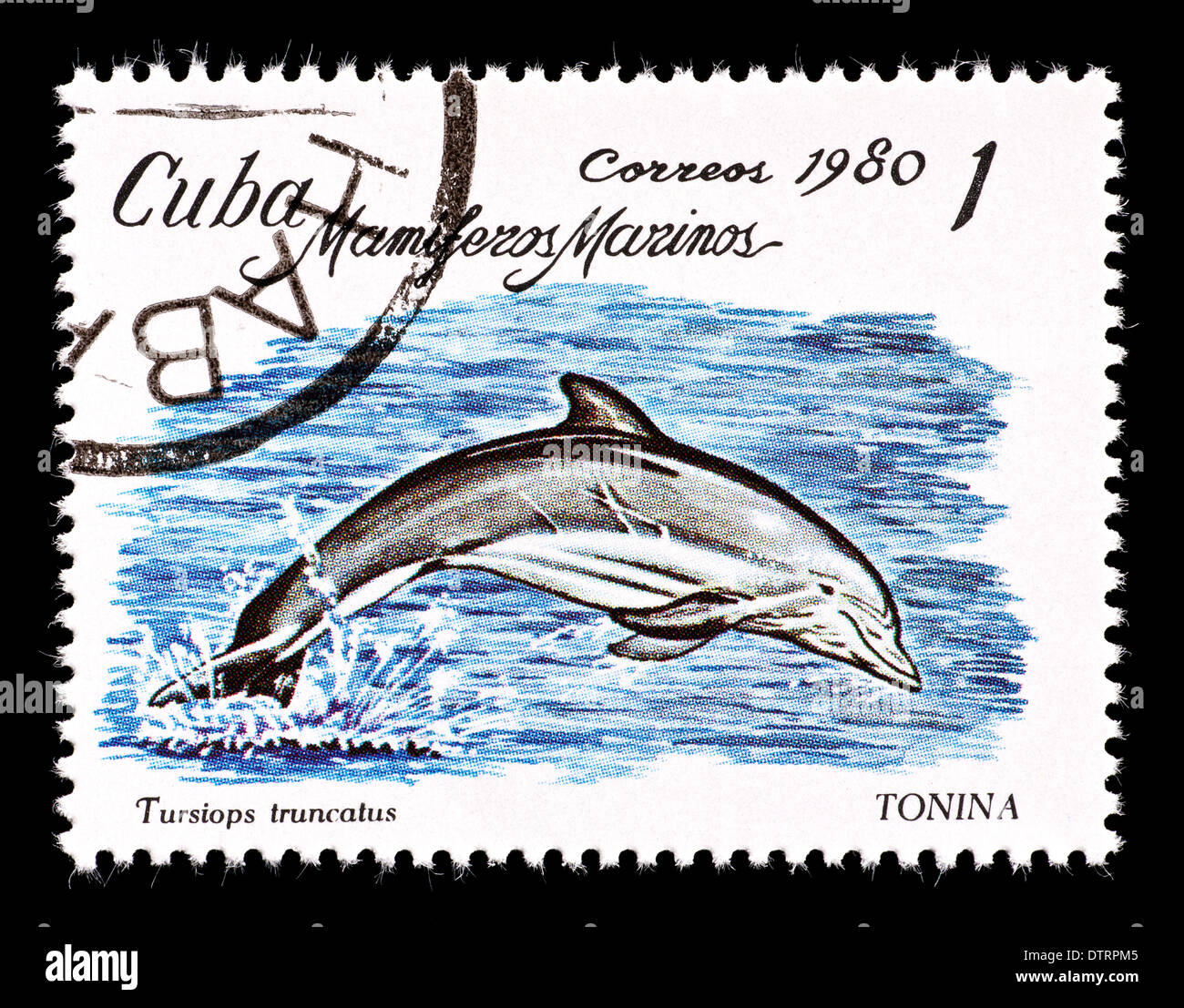 Postage stamp from Cuba depicting a common bottlenose dolphin or ...