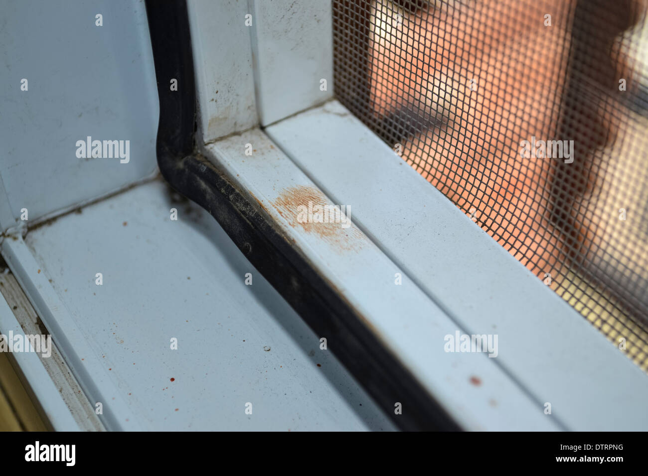 Bloody fingerprint on a window sill Stock Photo - Alamy