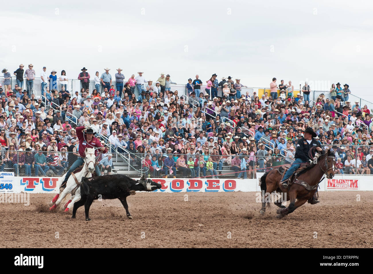 Tucson, Arizona, USA. 23rd Feb, 2014. PAUL EAVES, of Lonedell, Mo ...