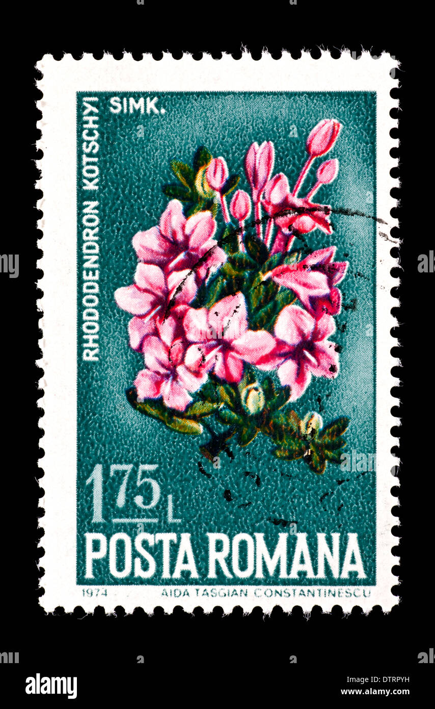 Postage stamp from Romania depicting rhododendron flowers Stock Photo ...