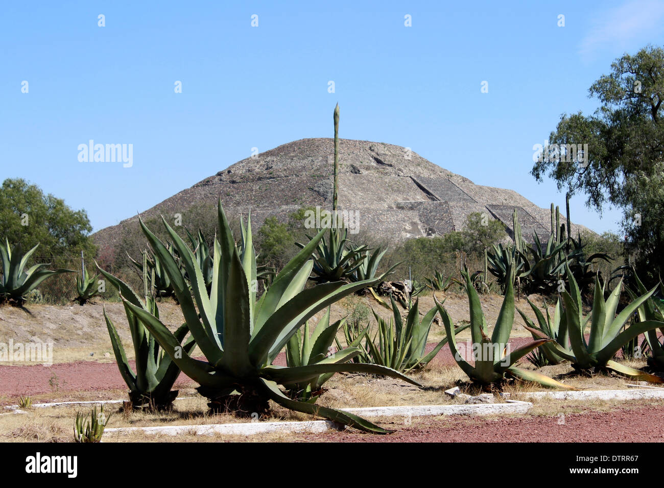 Aztec civilization hi-res stock photography and images - Alamy