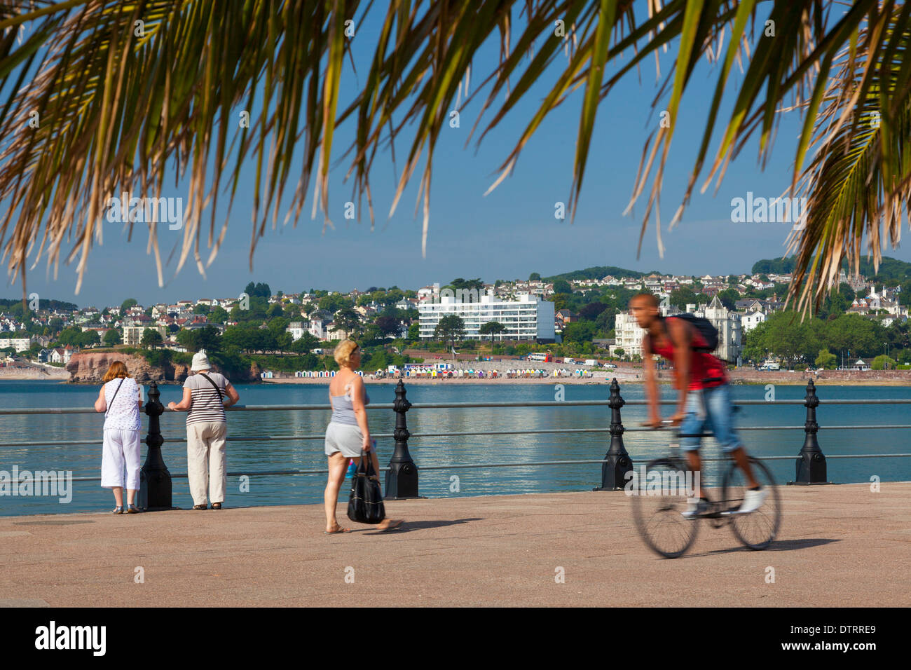 Torquay Devon England U.K Stock Photo - Alamy