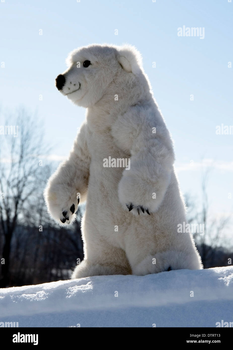 Freezing Cold Funny Animals