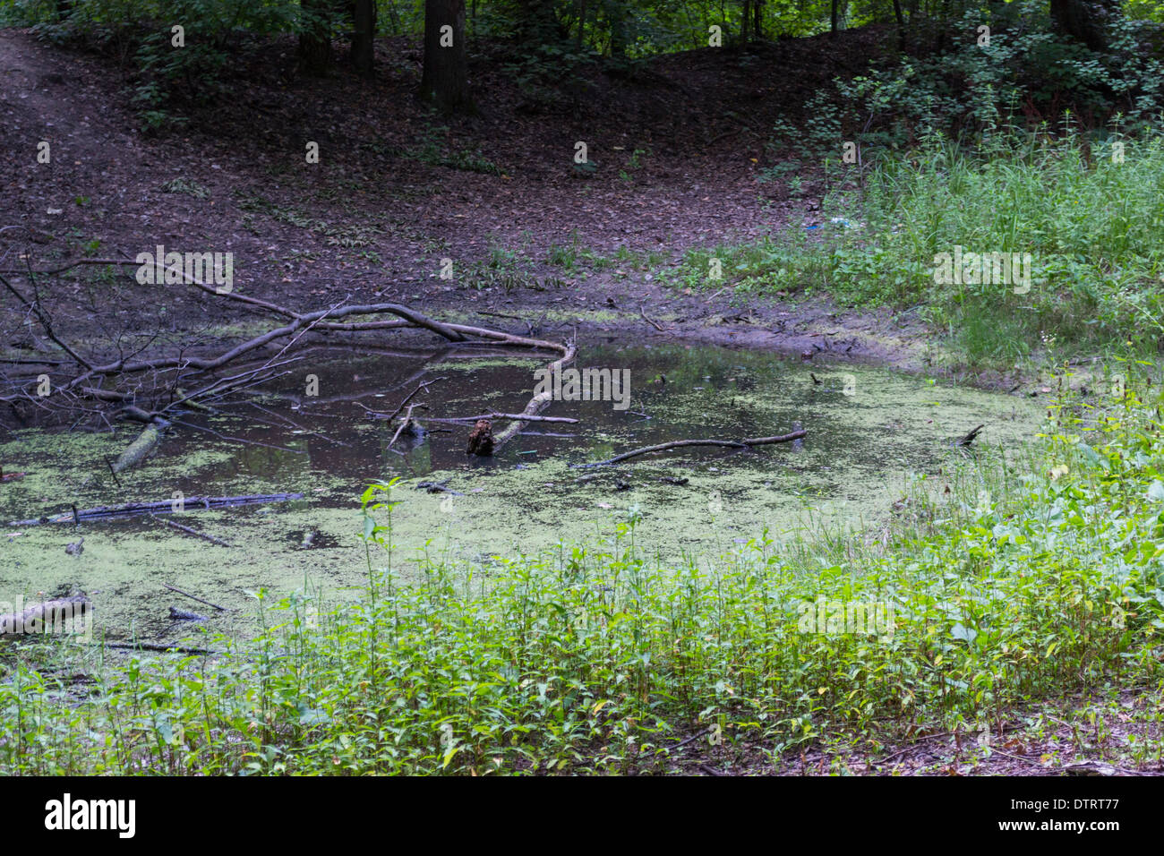 Witches Pond, Voluntari, Romania Stock Photo - Alamy