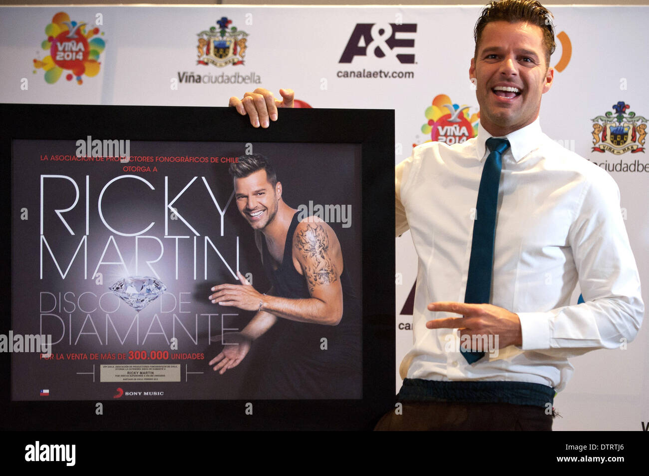Vina Del Mar, Chile. 23rd Feb, 2014. Puerto Rican singer Ricky Martin ...