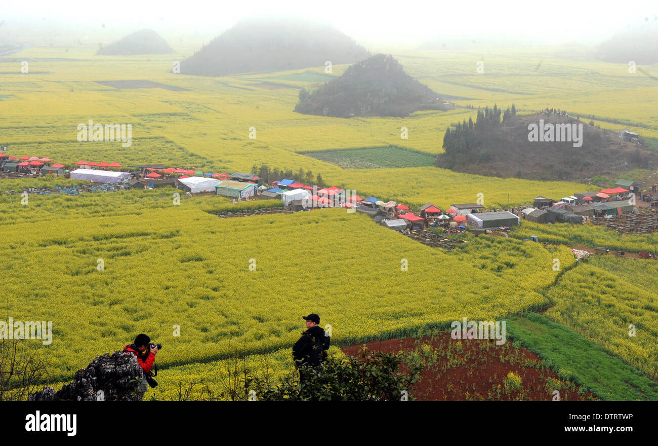 Luoping, China's Yunnan Province. 23rd Feb, 2014. Amateur photographers ...