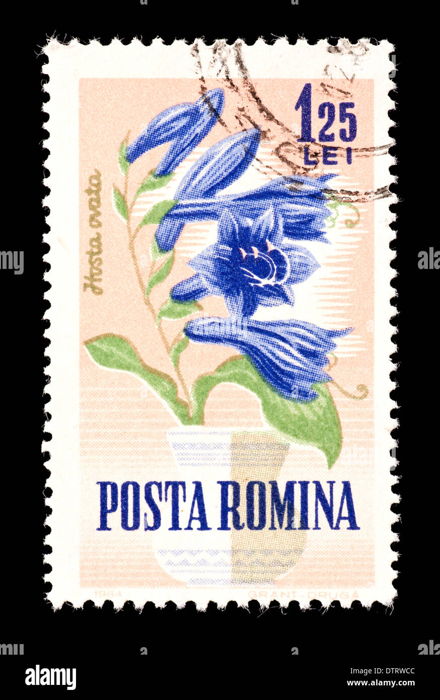 Postage stamp from Romania depicting blue flowers Stock Photo - Alamy