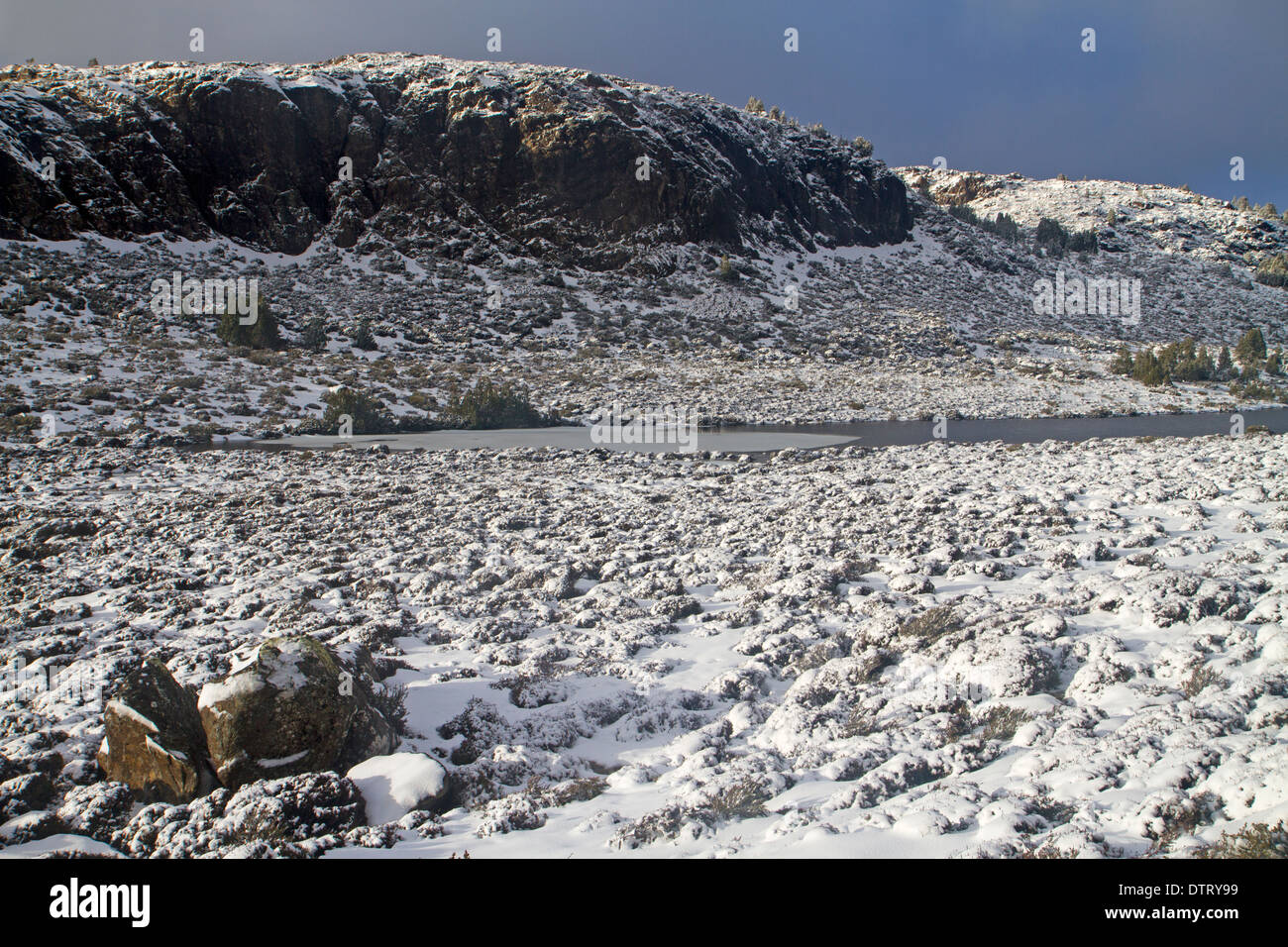 Winter scene in Walls of Jerusalem National Park Stock Photo - Alamy