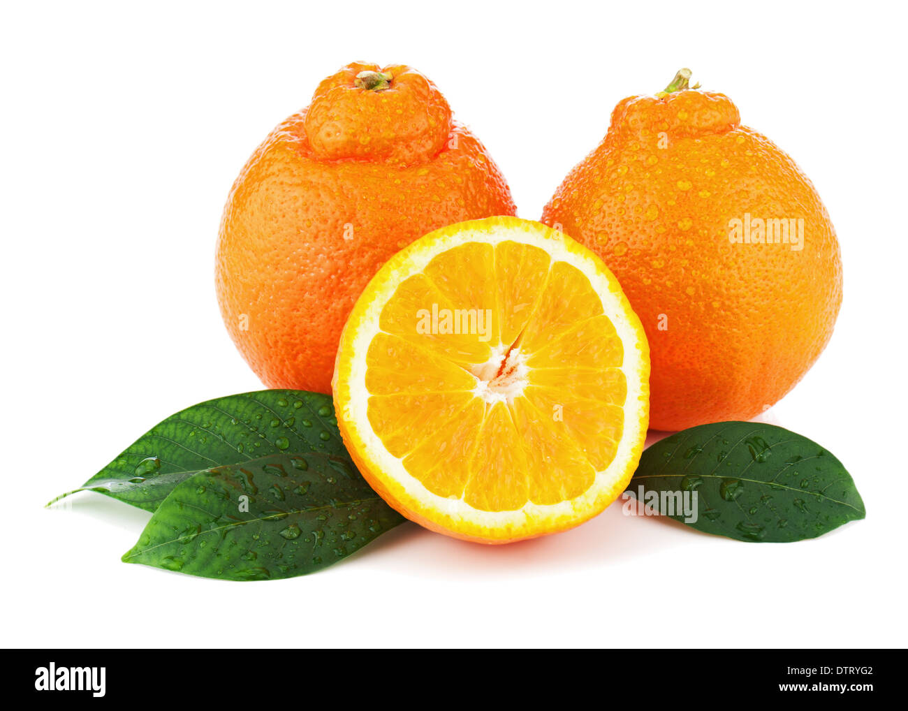 Orange fruits with green leaves isolated on white background. Closeup ...