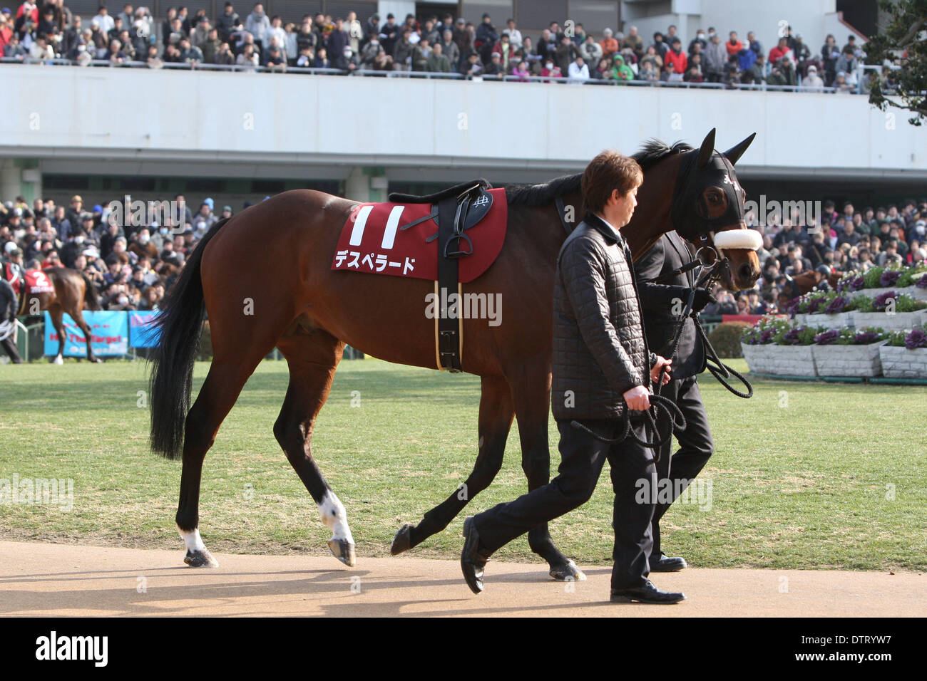 Kyoto kinen hi-res stock photography and images - Alamy