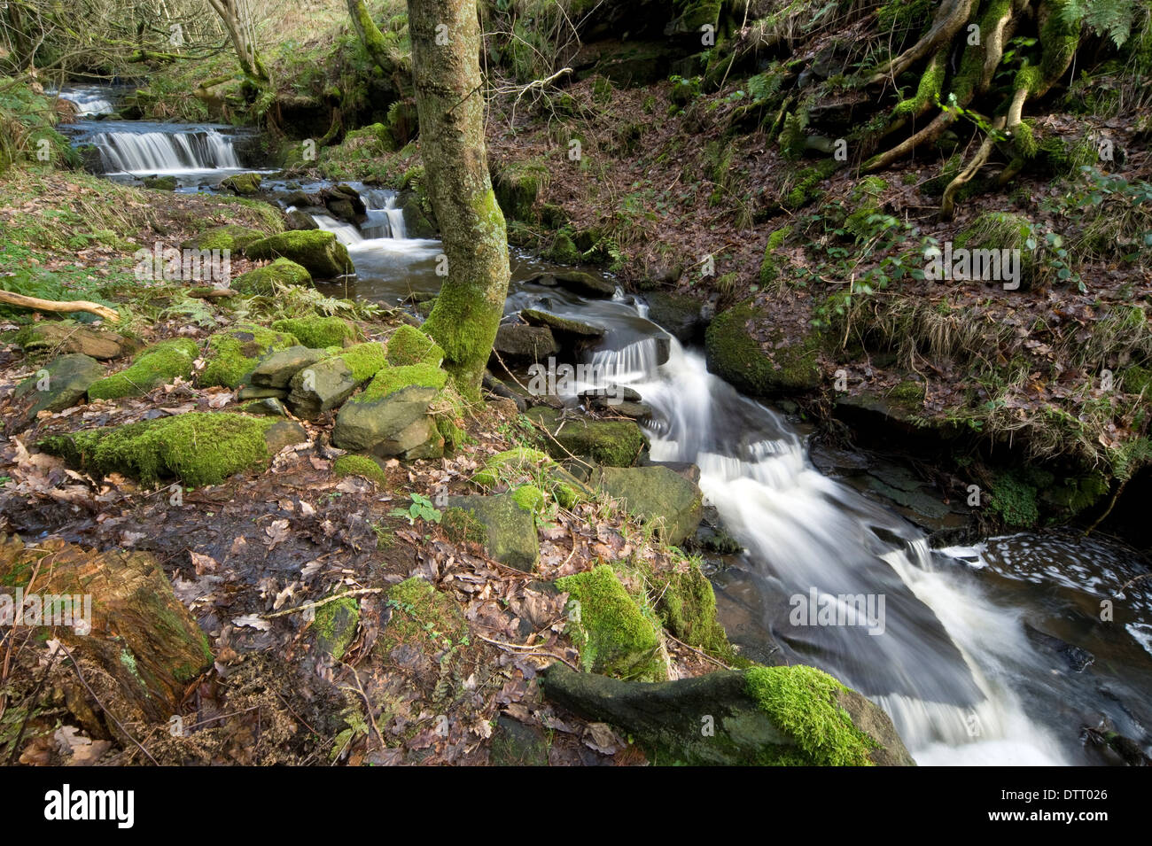 Fast flowing stream after heavy rain. Peak District Stock Photo - Alamy