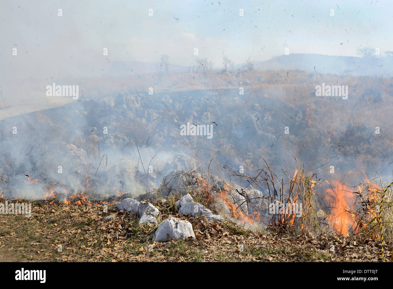 Burned land hi-res stock photography and images - Alamy