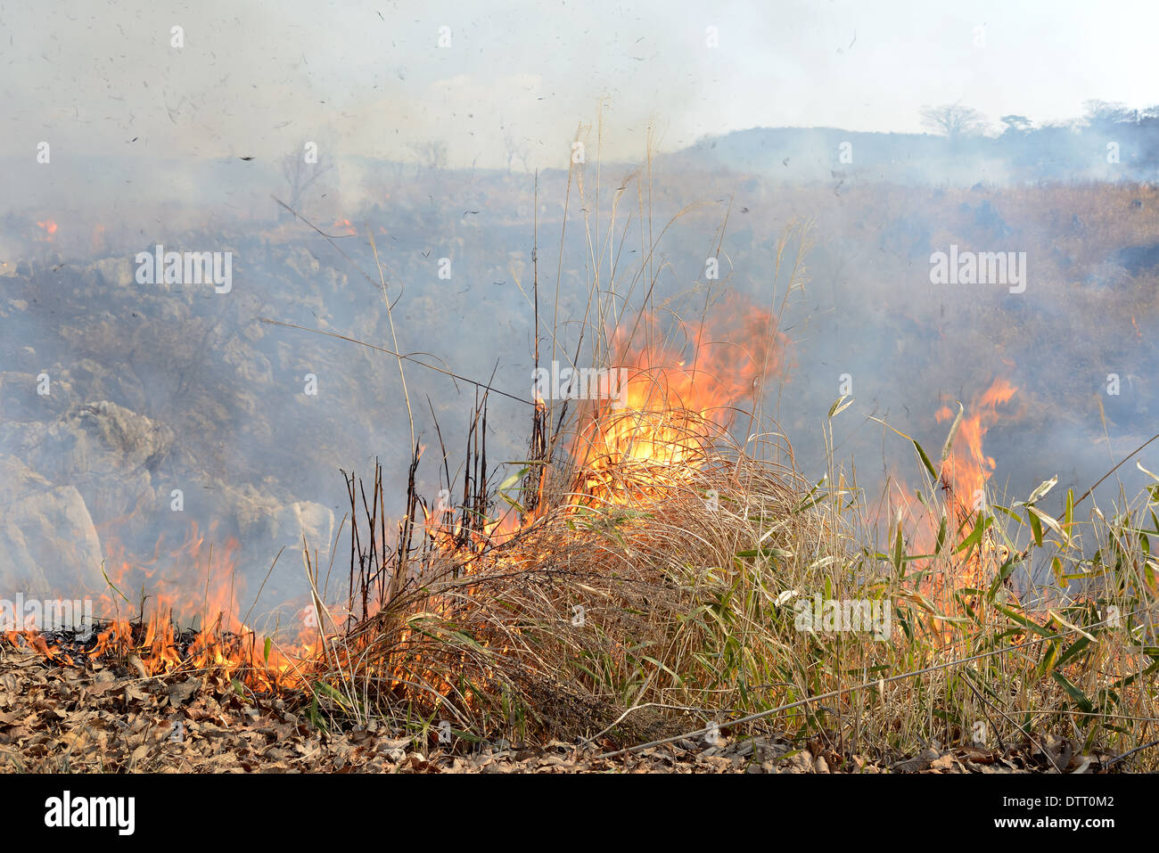 Burning land hi-res stock photography and images - Alamy