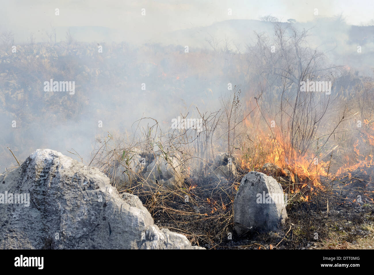 landscape view of a burning land Stock Photo - Alamy