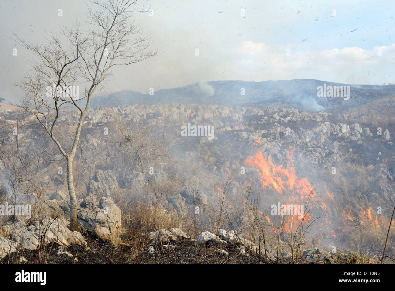 The bush burned with fire hi-res stock photography and images - Alamy