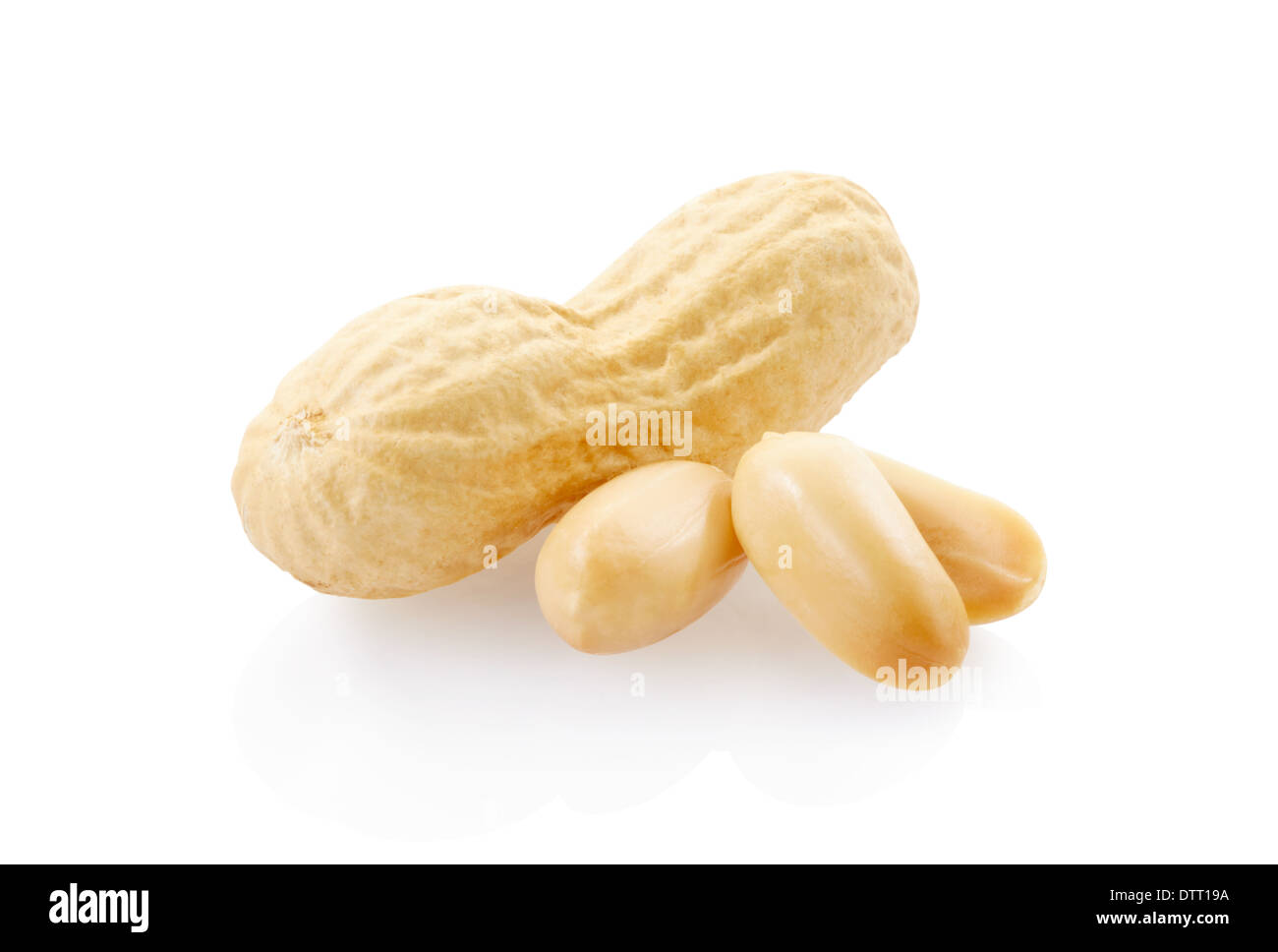 Seed peanuts Cut Out Stock Images & Pictures - Alamy