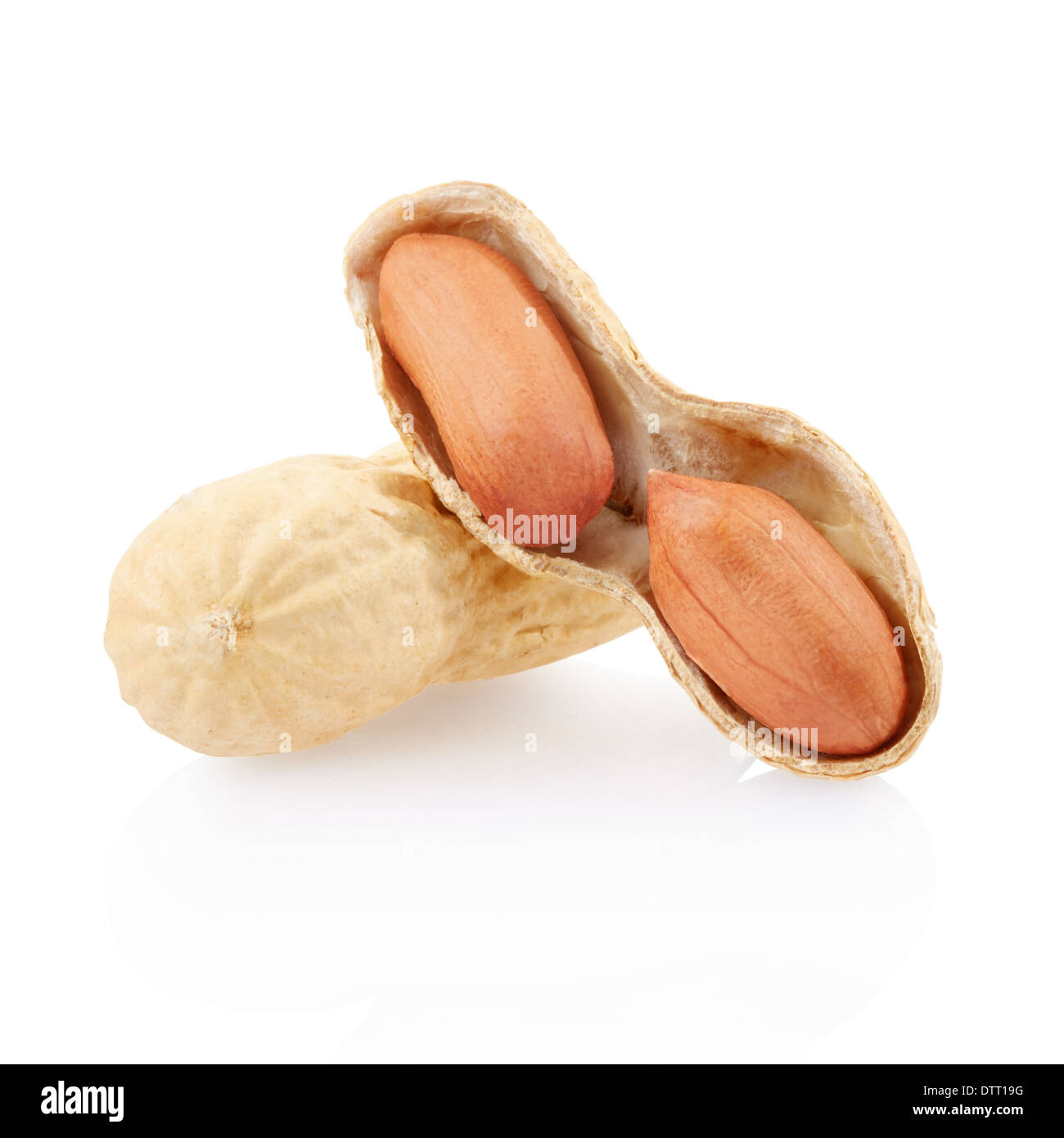 Dried out shell hi-res stock photography and images - Alamy