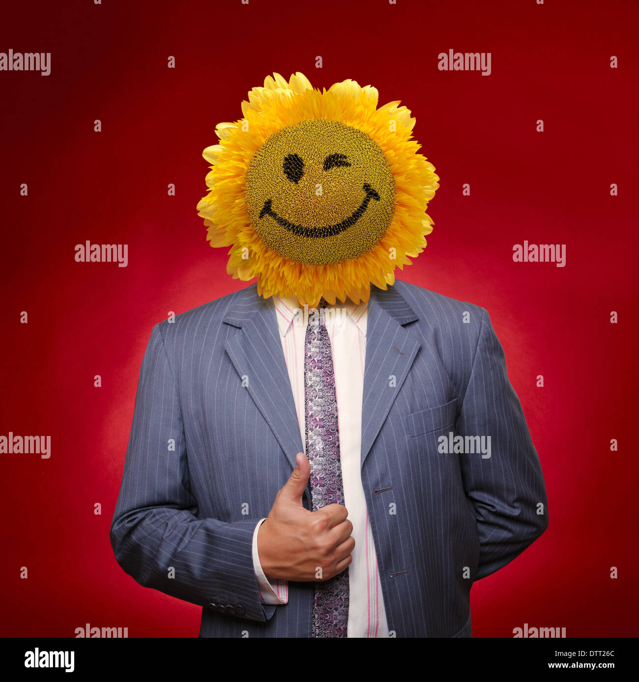 Give sunflower hi-res stock photography and images - Alamy