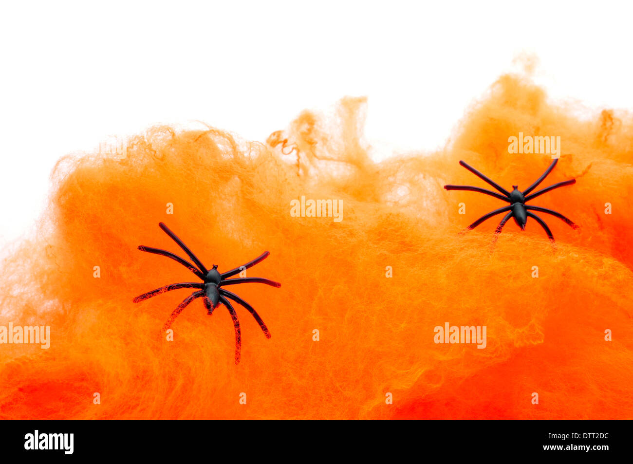 an orange spiderweb and some frightening spiders as halloween ...