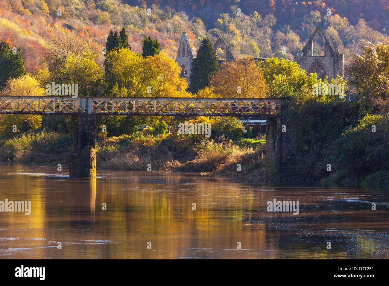 Tintern wye valley monmouthshire wales hi-res stock photography and ...