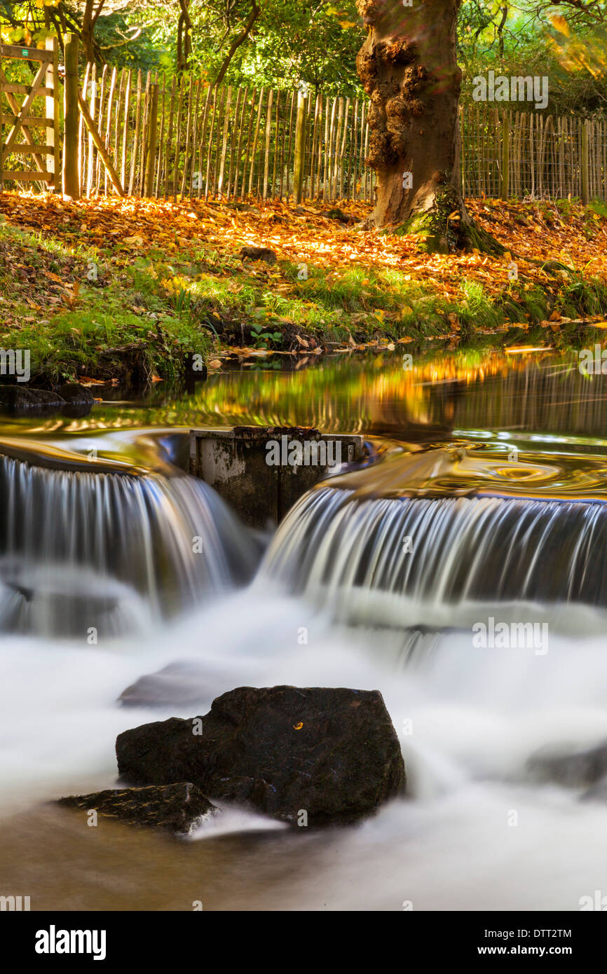 Roath Park Cardiff Wales UK Stock Photo - Alamy