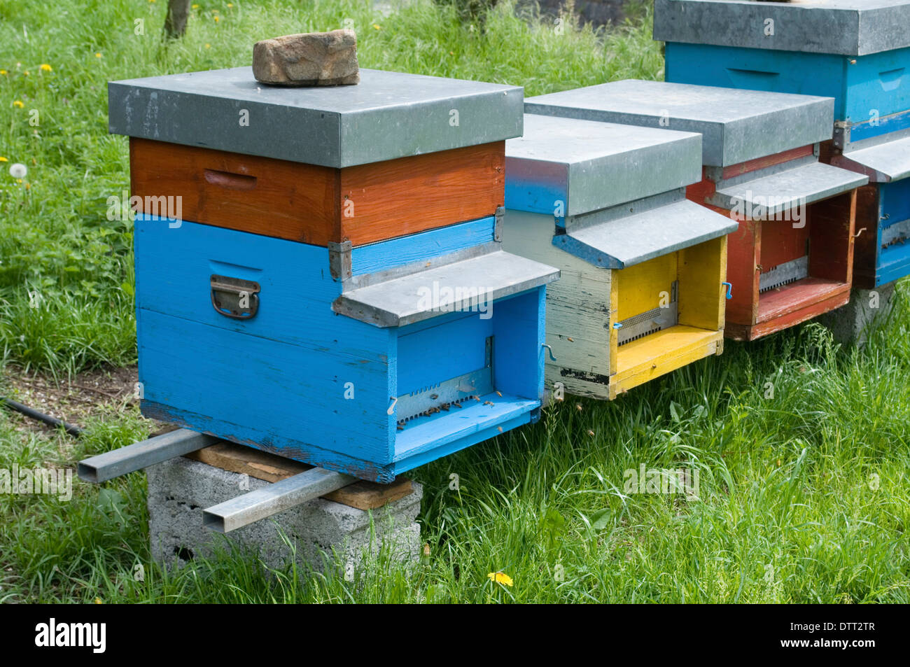 Coloured bee hives hi-res stock photography and images - Alamy