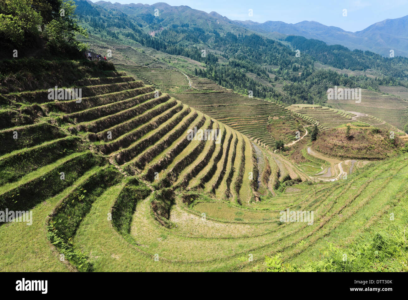 Fields landscape hi-res stock photography and images - Alamy