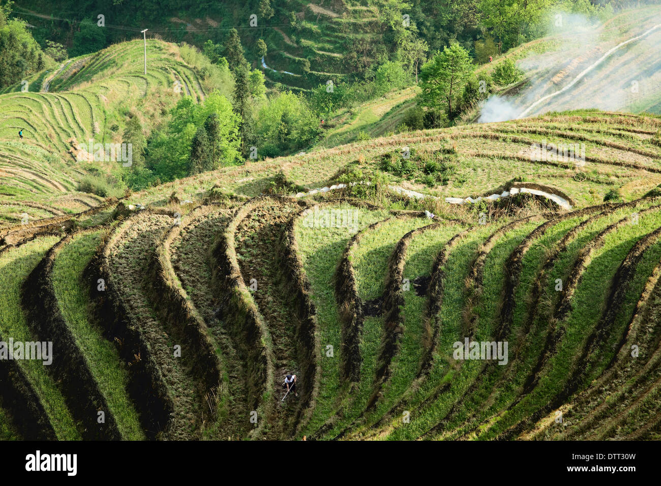Terrace irrigation hi-res stock photography and images - Alamy