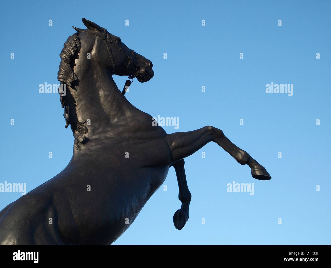 Stallion statue in Newmarket Stock Photo - Alamy