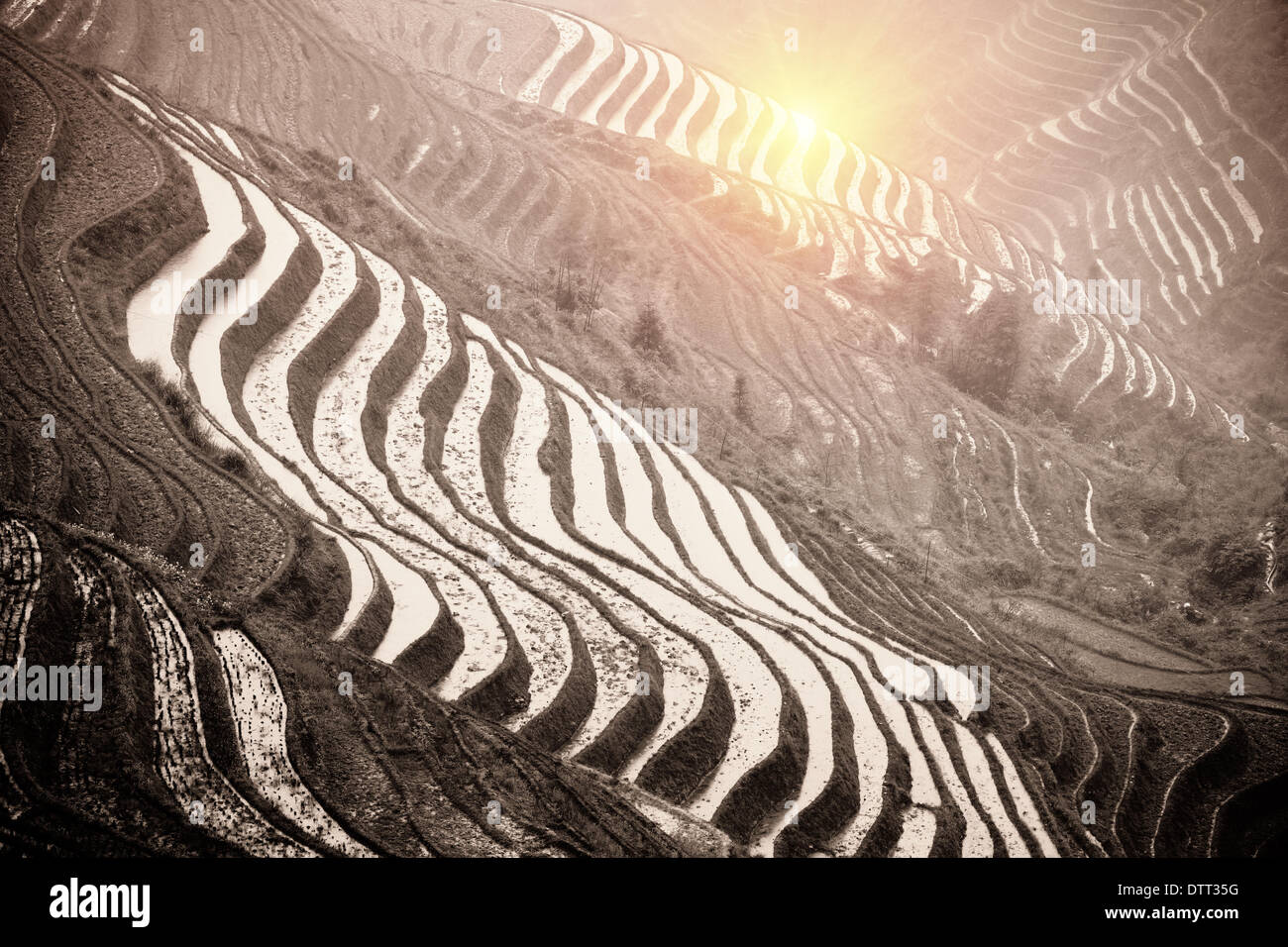 Field in terraces hi-res stock photography and images - Alamy