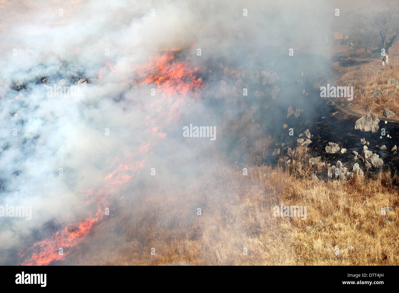 landscape view of a burning land Stock Photo - Alamy