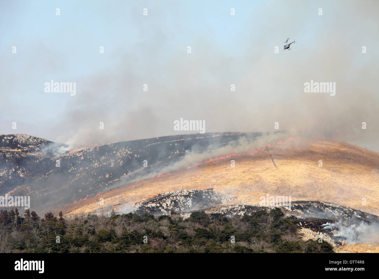 The bush burned with fire hi-res stock photography and images - Alamy