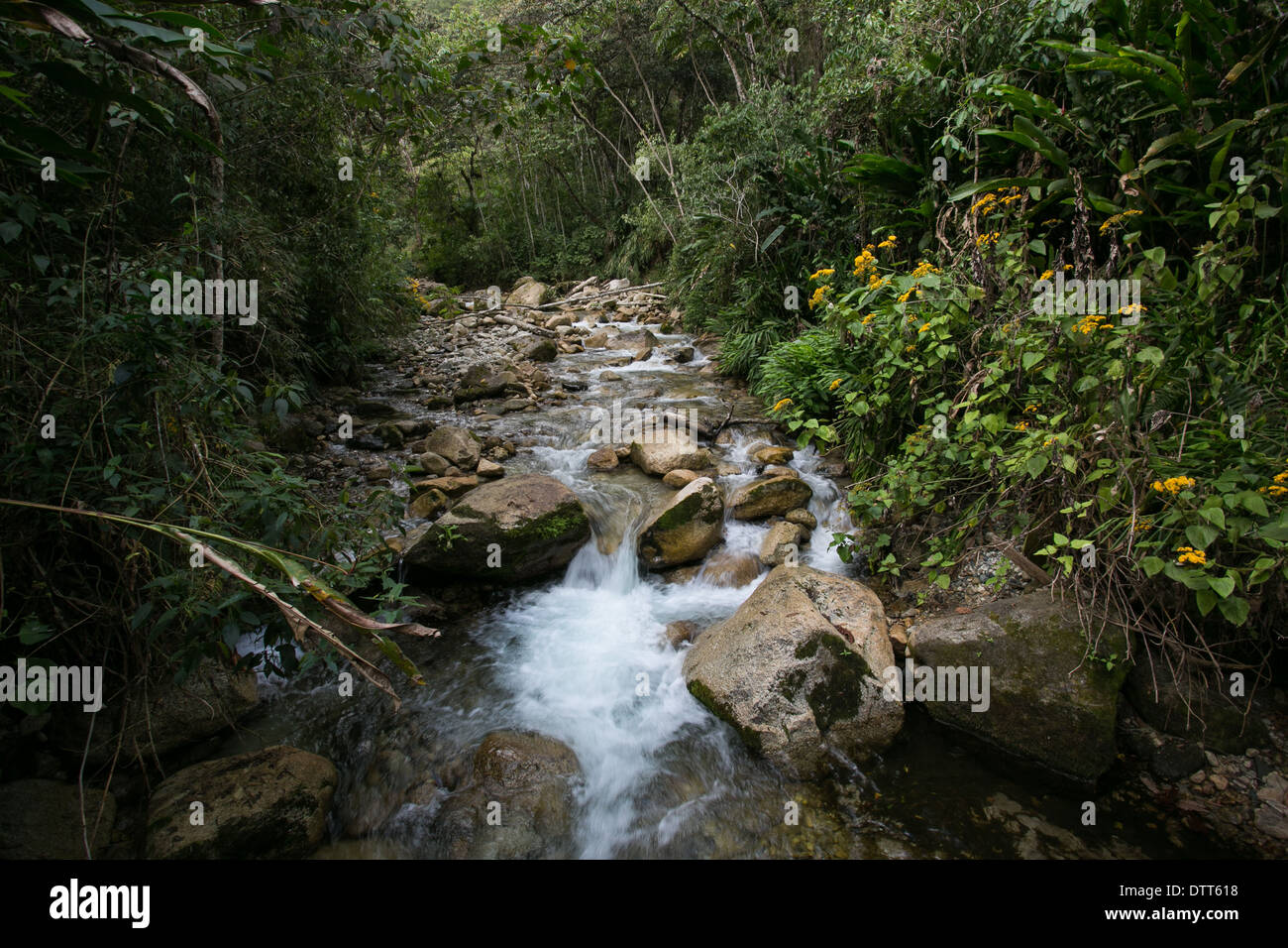 inka trail, inka path, forest, rocks piled up by the river and ...