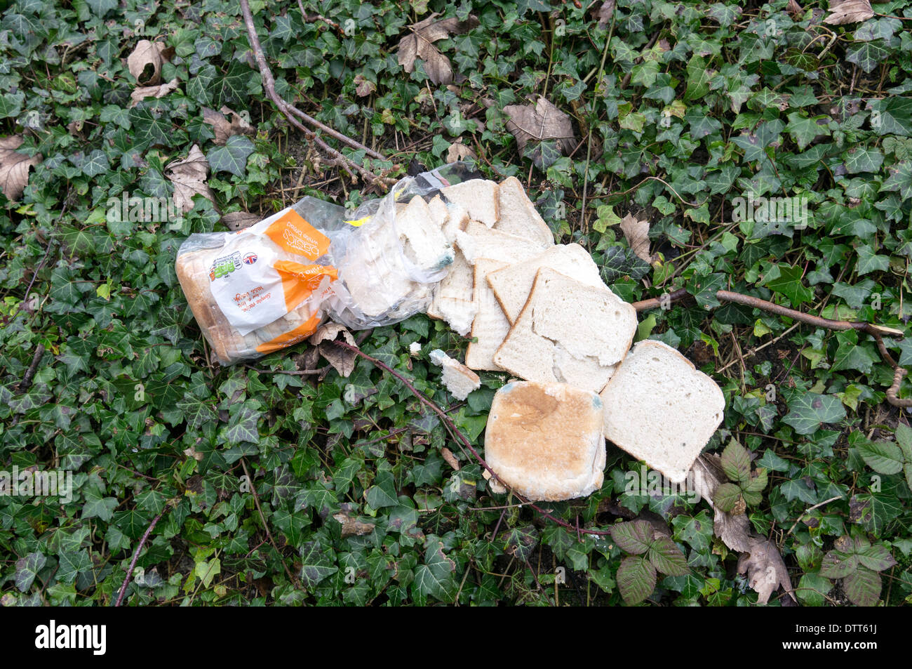 Bag of sliced white bread wasted Stock Photo - Alamy