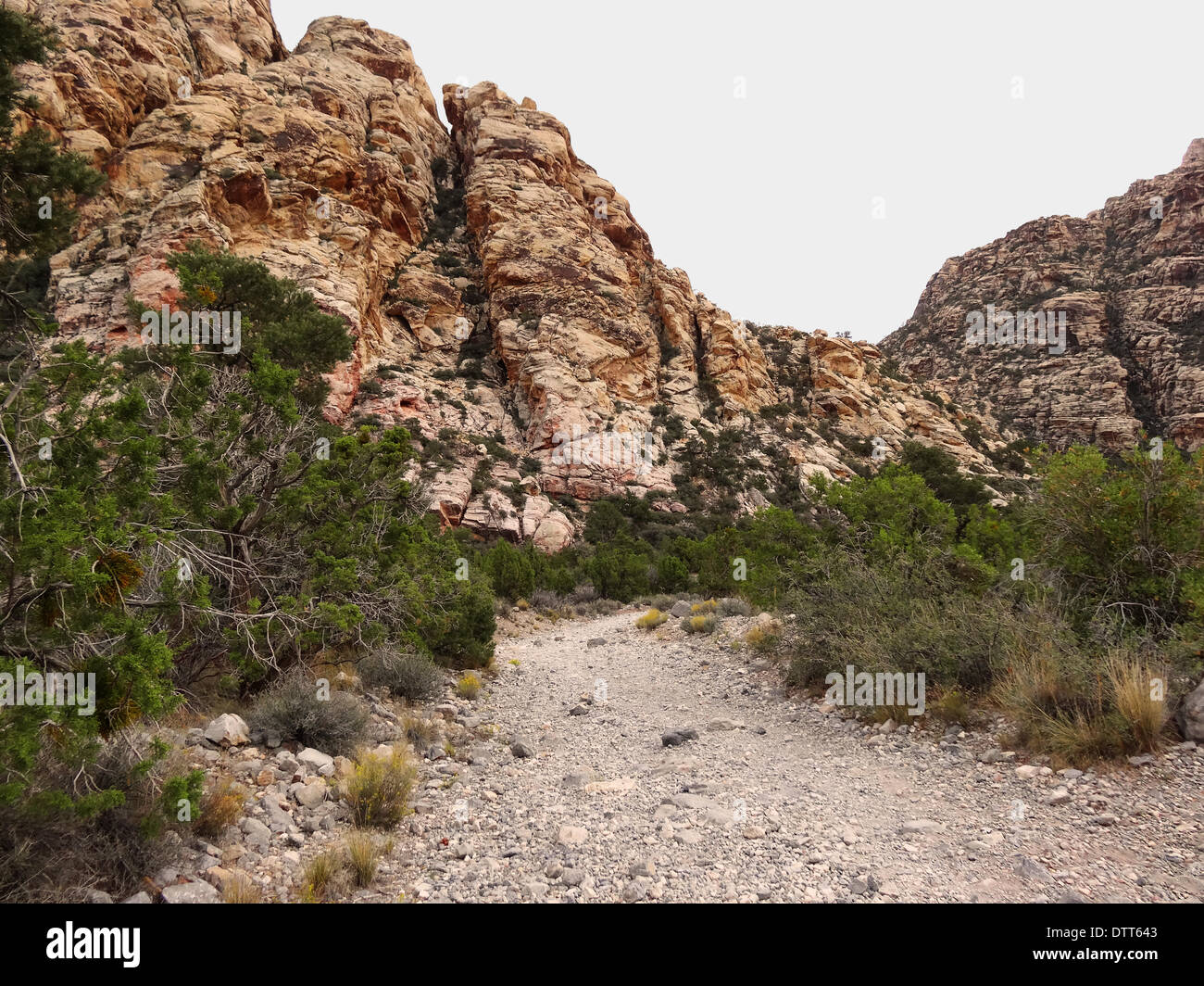 Hike through Red Rock Canyon Stock Photo - Alamy