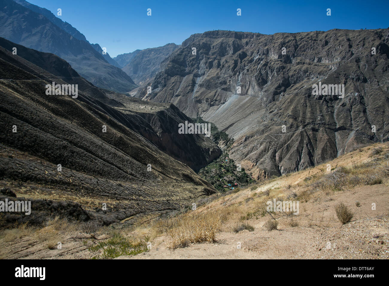 canion colca, peru, dust, dry, trekking , walking, canion colca, peru ...