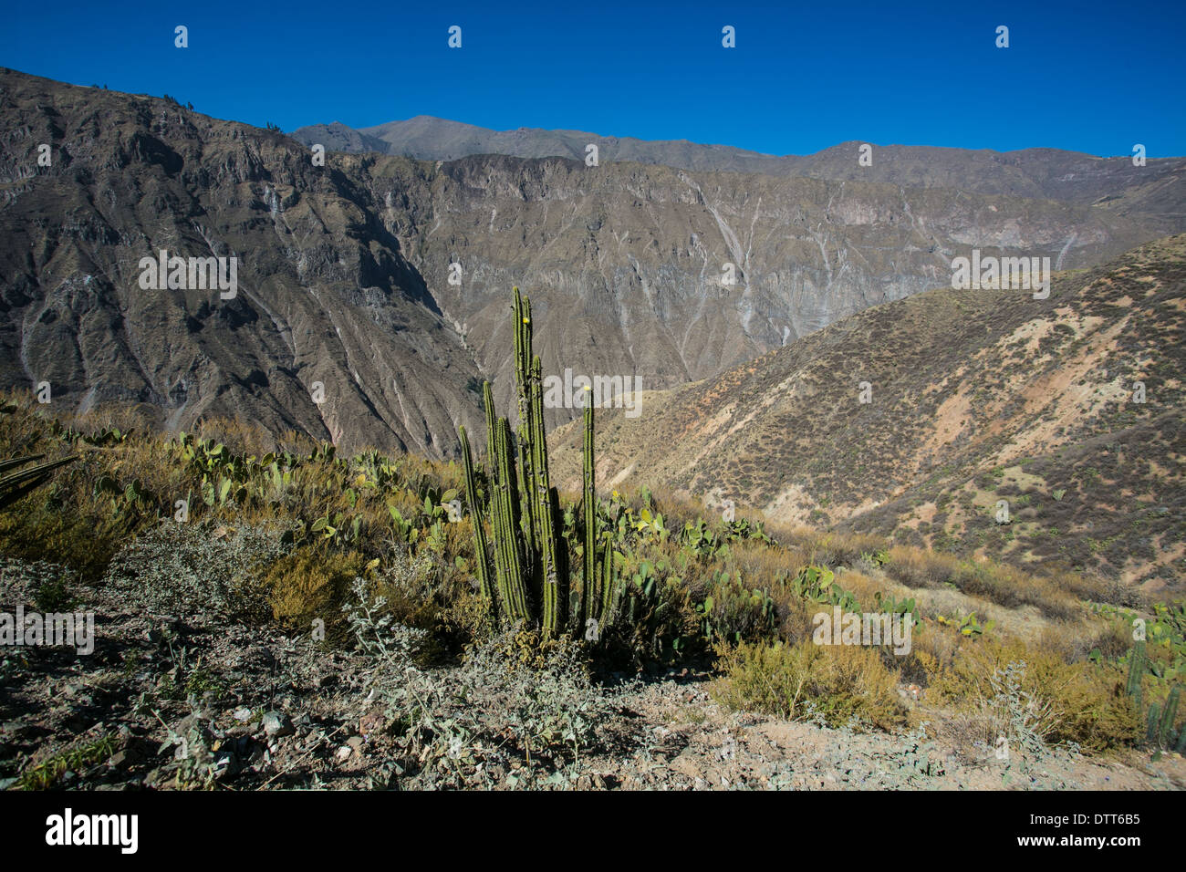 Trekking or climbing peru hi-res stock photography and images - Alamy