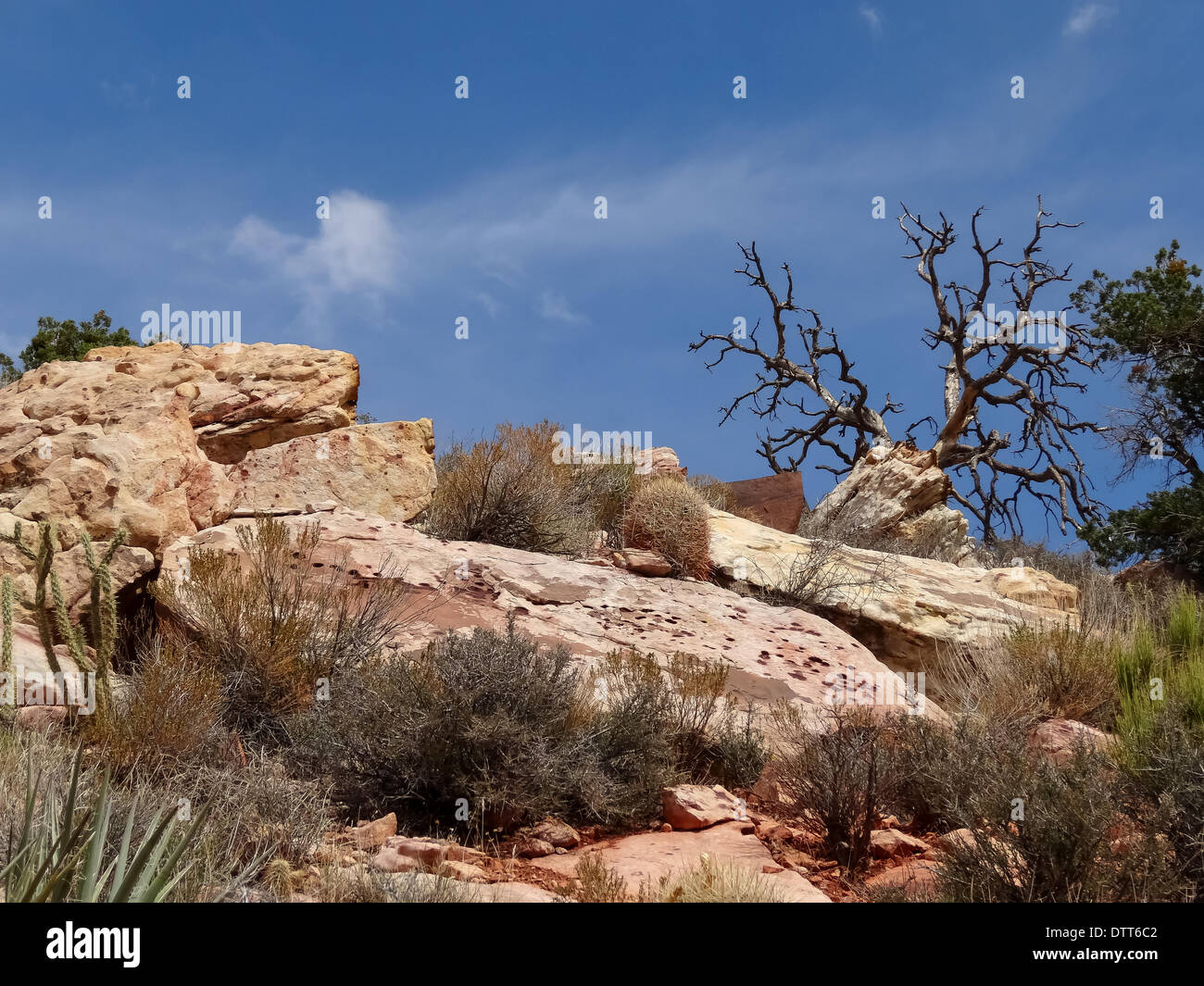 Red rock hike hi-res stock photography and images - Alamy