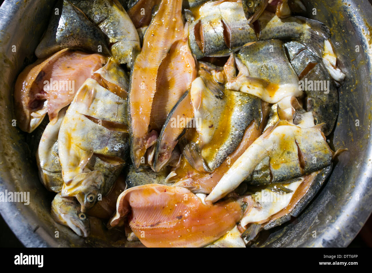 street food in puno, peru - fish - ceviche , bowl of fishes Stock Photo ...