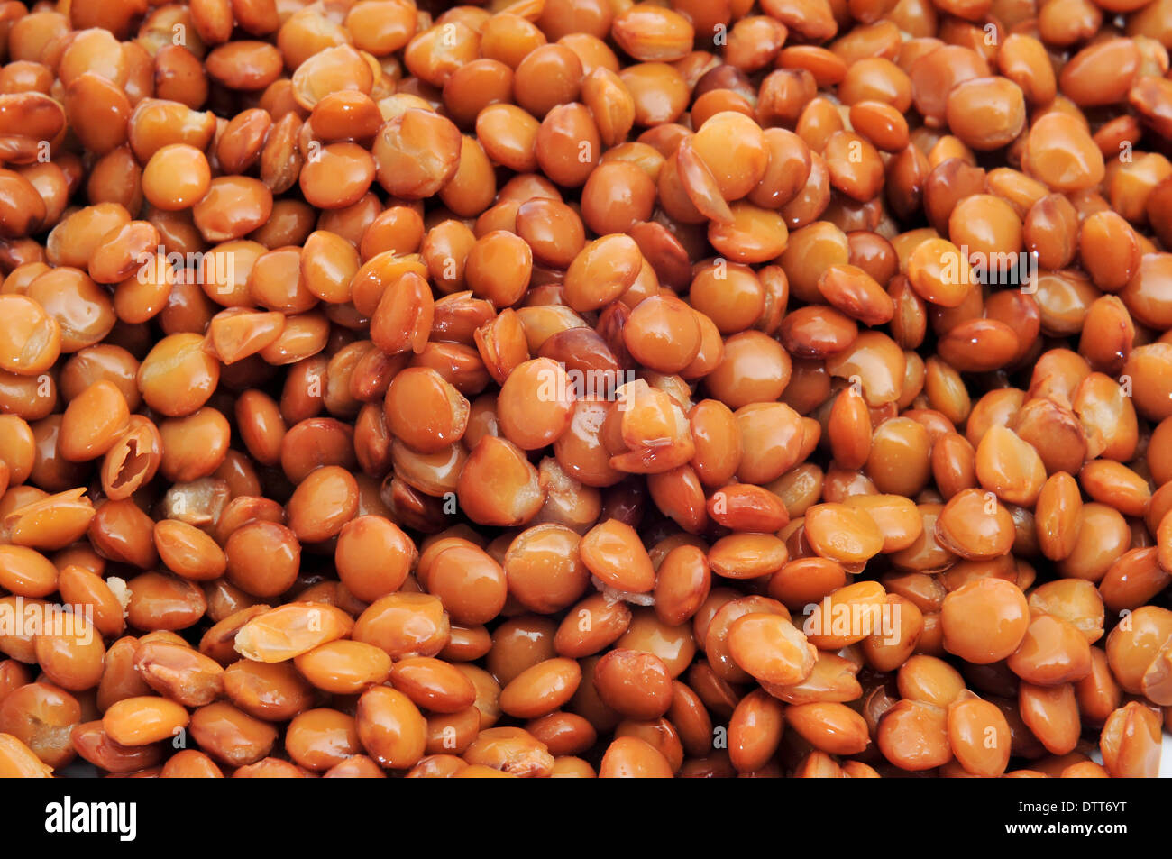 Lentils Cooked High Resolution Stock Photography and Images - Alamy
