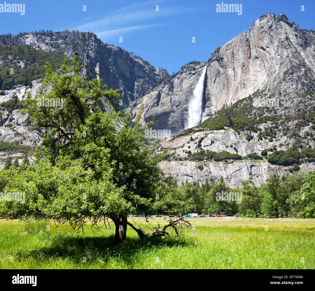 Spring in Yosemite Stock Photo - Alamy