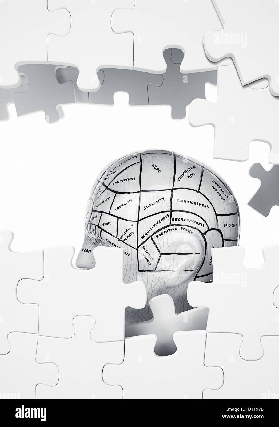 Jigsaw puzzle of sections of brain Stock Photo - Alamy