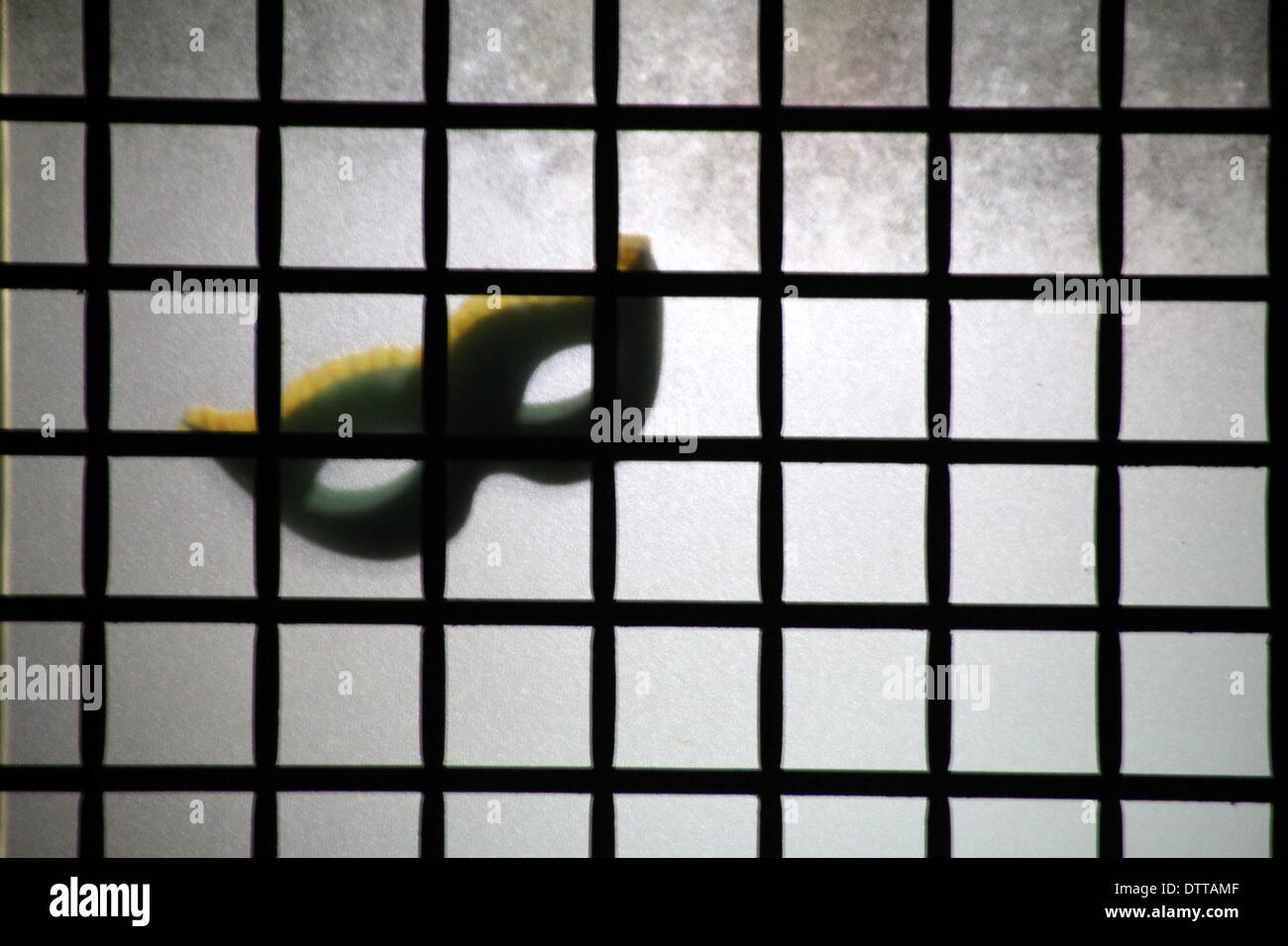 Rome, Italy. 23rd February 2014. Carnival day on Via Oderisi da Gubbio ...