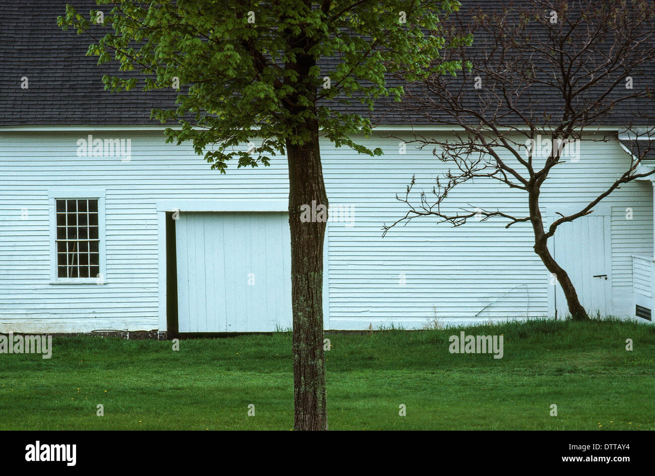 White barn and trees Stock Photo - Alamy