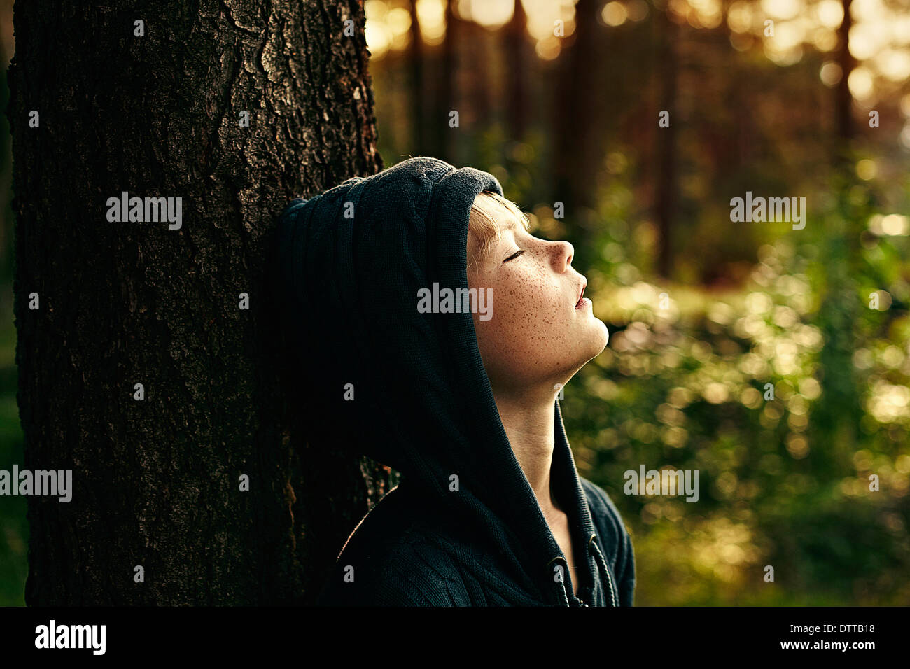 Boy leaning against tree hi-res stock photography and images - Alamy