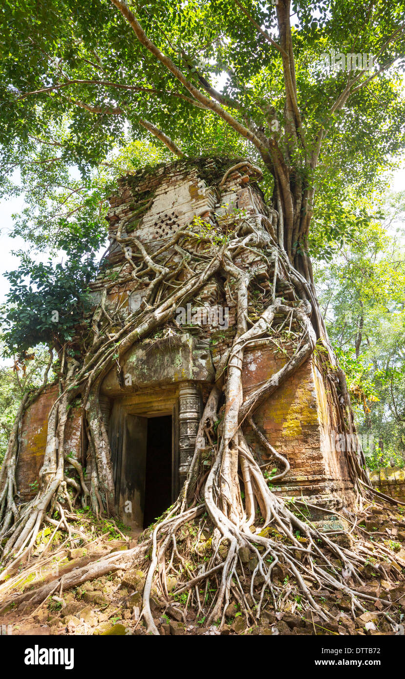 Koh kher hi-res stock photography and images - Alamy