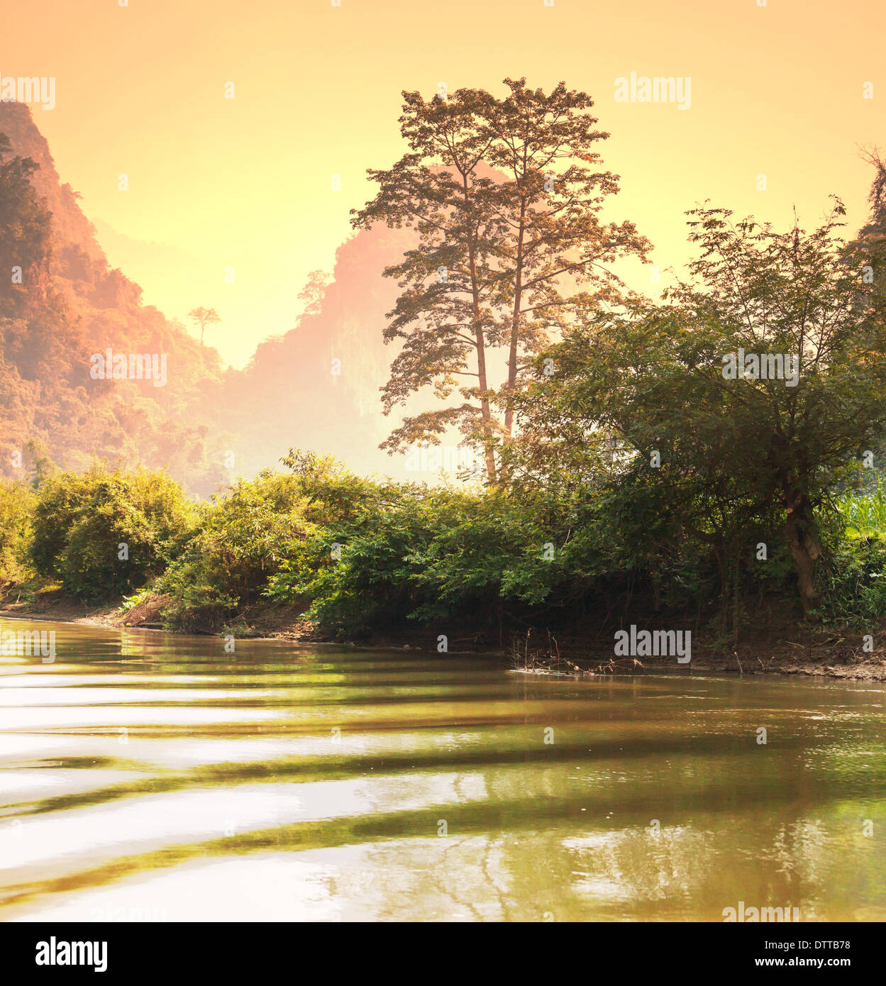 Vietnam jungle hi-res stock photography and images - Alamy