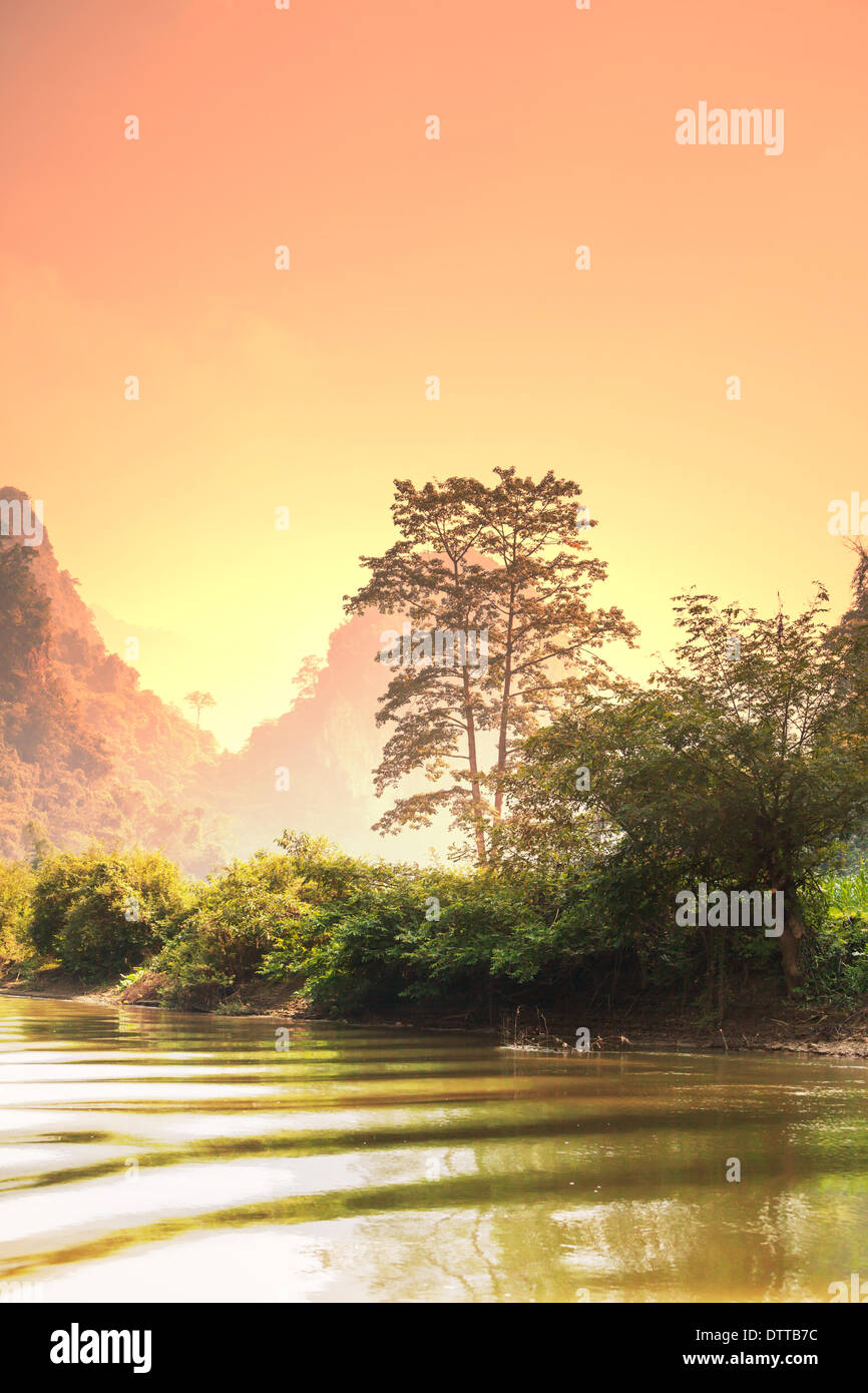 Jungle in vietnam hi-res stock photography and images - Alamy